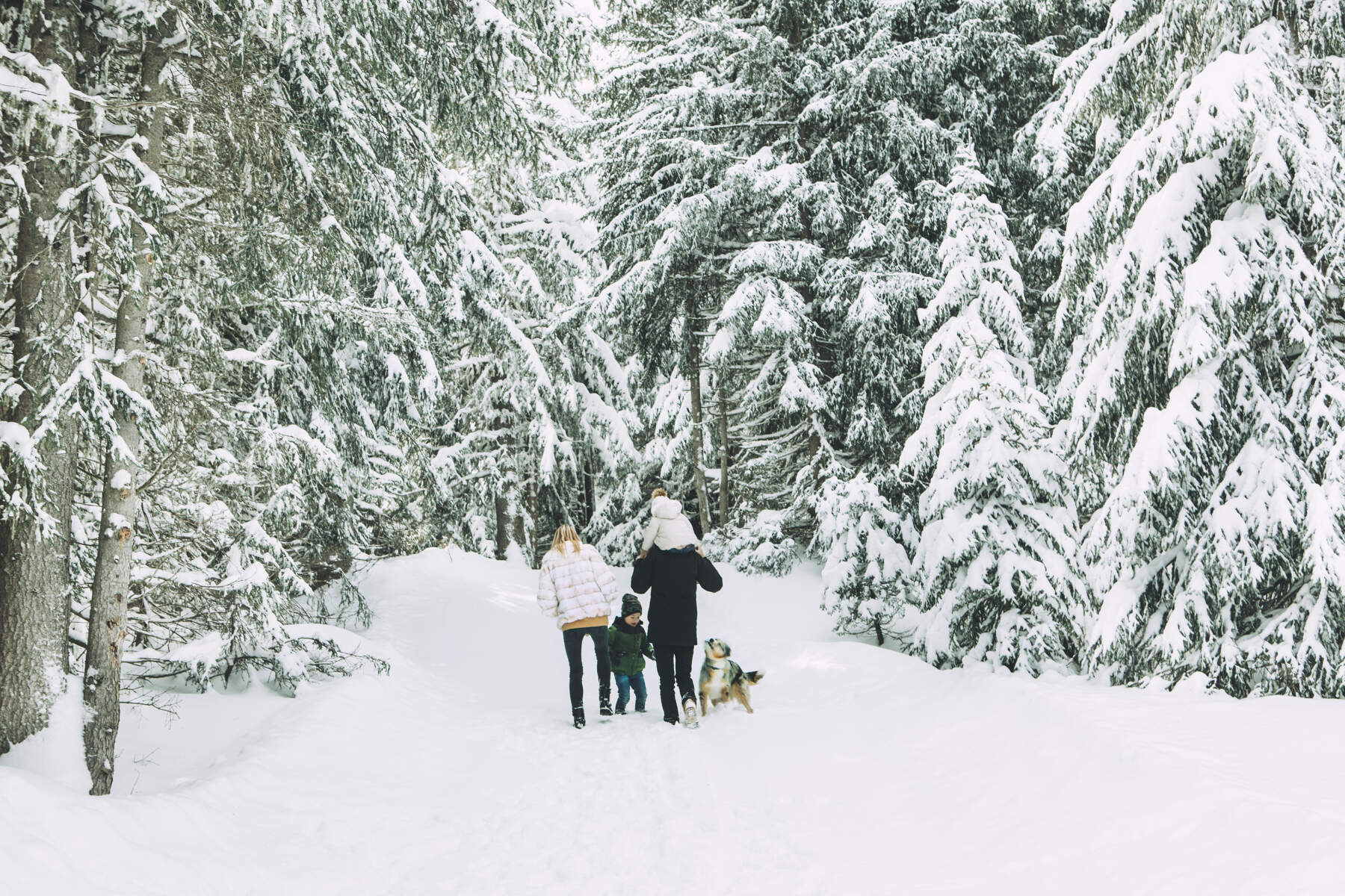 Our luxury French Alps Chalet rentals - Le Collectionist